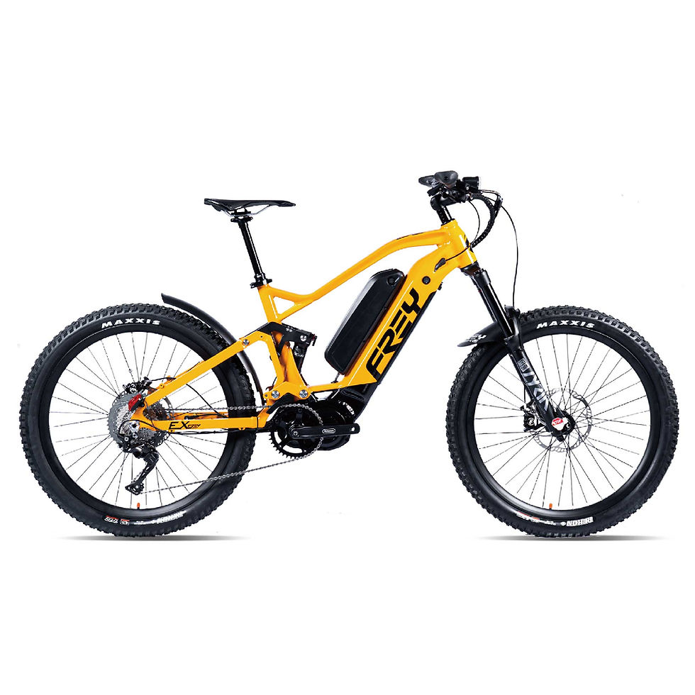 FREY EX | E-BIKES 4U