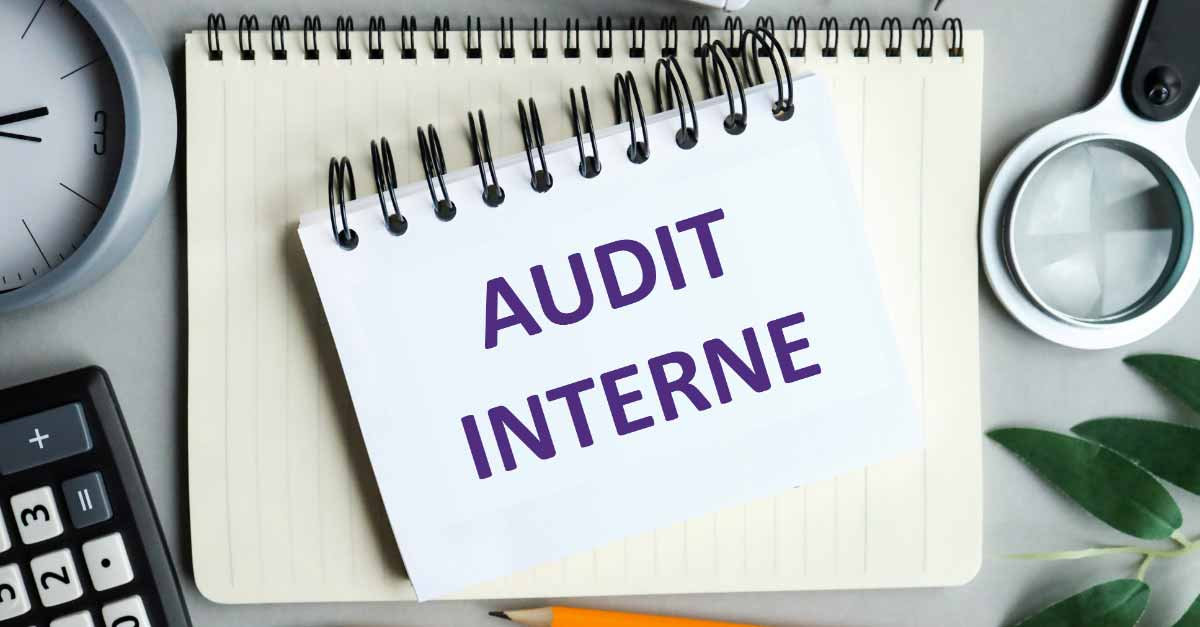Pratiques de l'audit | be-ing-consult