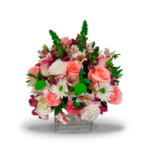 Floral chispita de amor | Floreria Vanessa