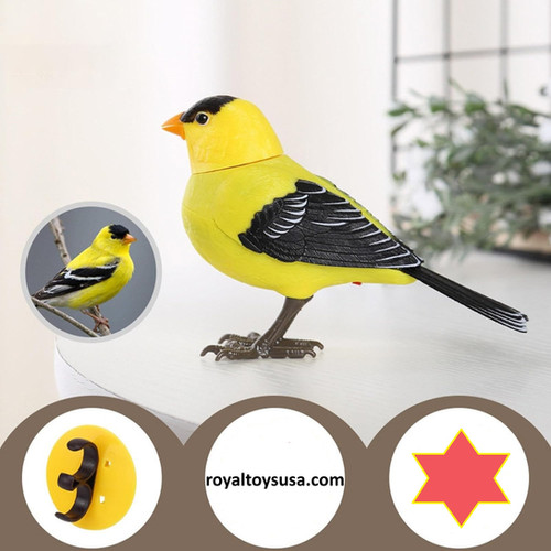 Motion Activated Singing Bird | Royaltoysusa