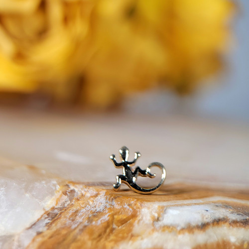 Lizard | Sacred Body