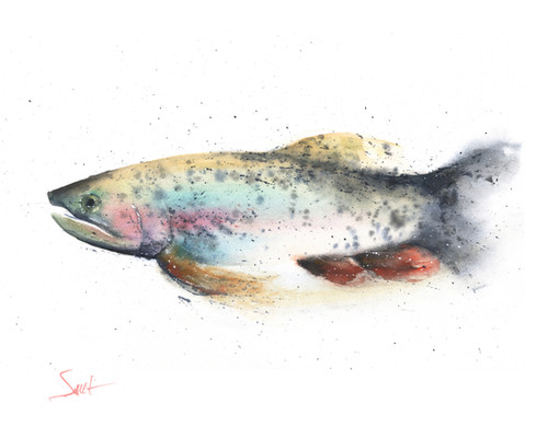 Rainbow Trout - Watercolor Fish Art Print | Artist Eric Sweet