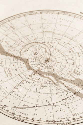 Star Chart Reading | Rhys + Rei