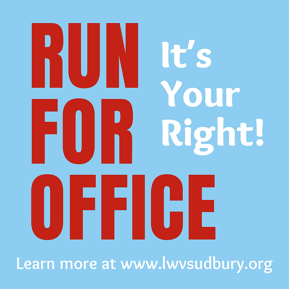 Run for Local Office - It's Your Right!