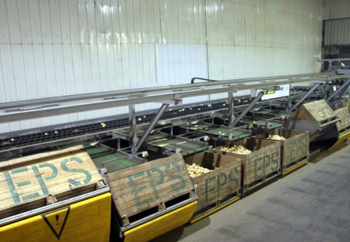 MAF Roda Weight Grading | 38020728