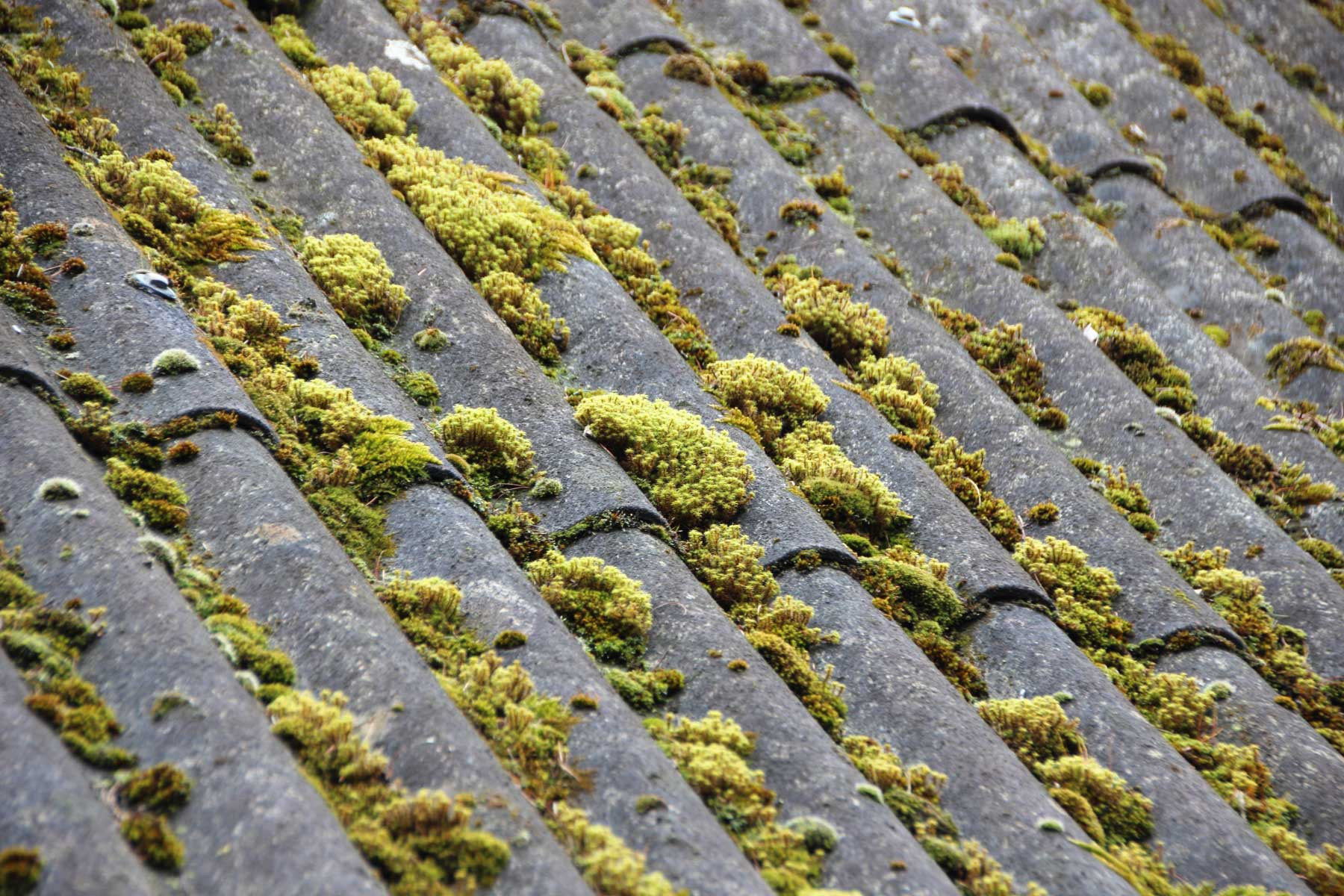Emerald Environmental | Asbestos Removal | Ireland
