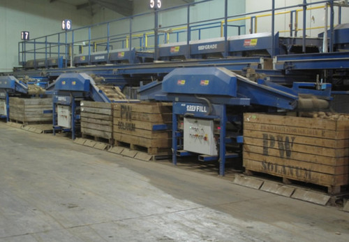 EasyFill Box Filler | Kevin Woods Machinery