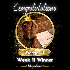 Entertainment | Mindless Minutia Trivia