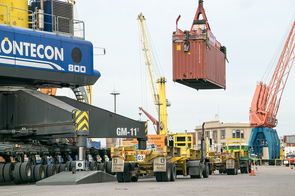 Unveiling the Purpose and Power of RCI Systems in Crane Operations