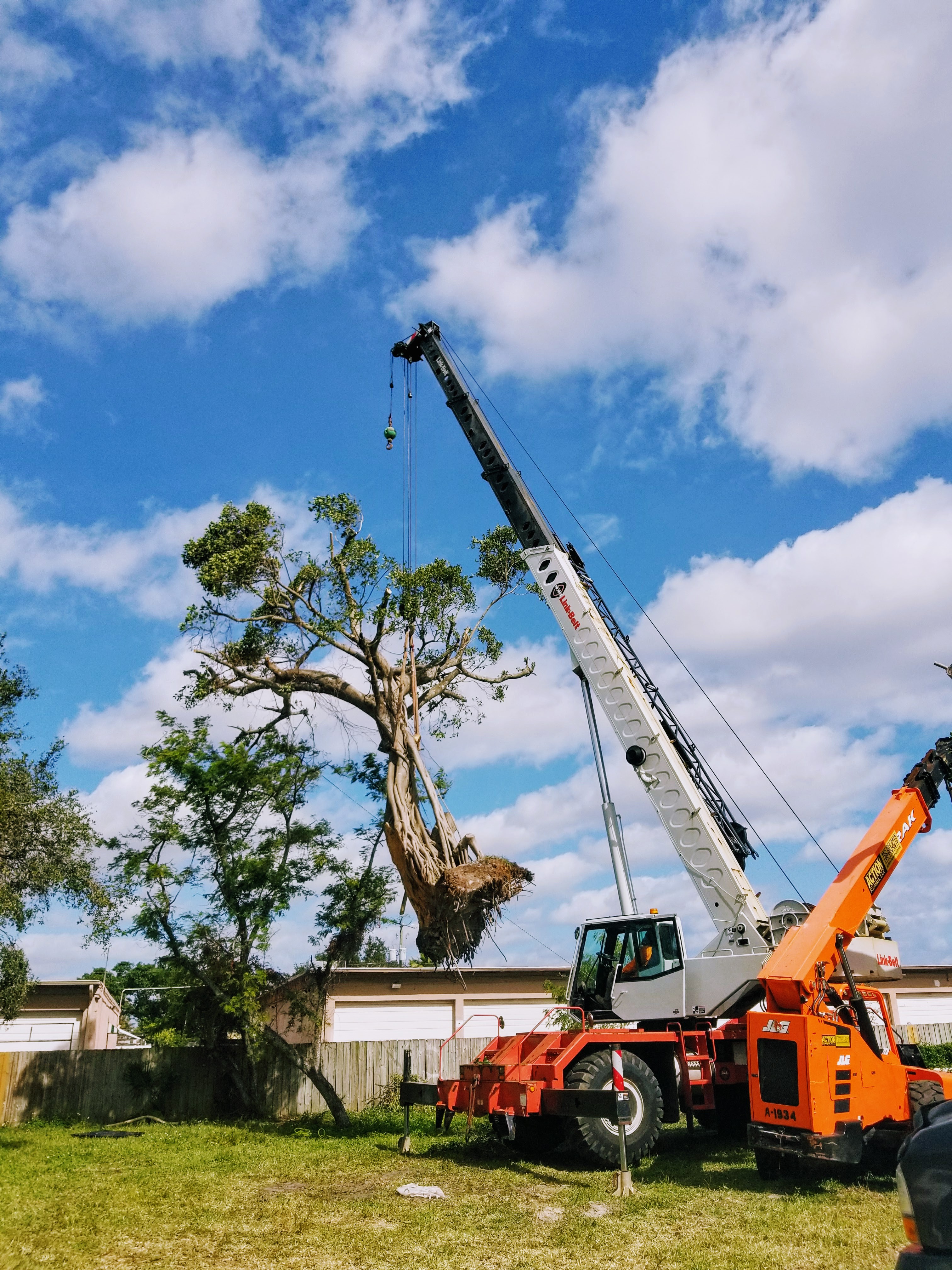 Tree & Landscaping Lifts | Williams International