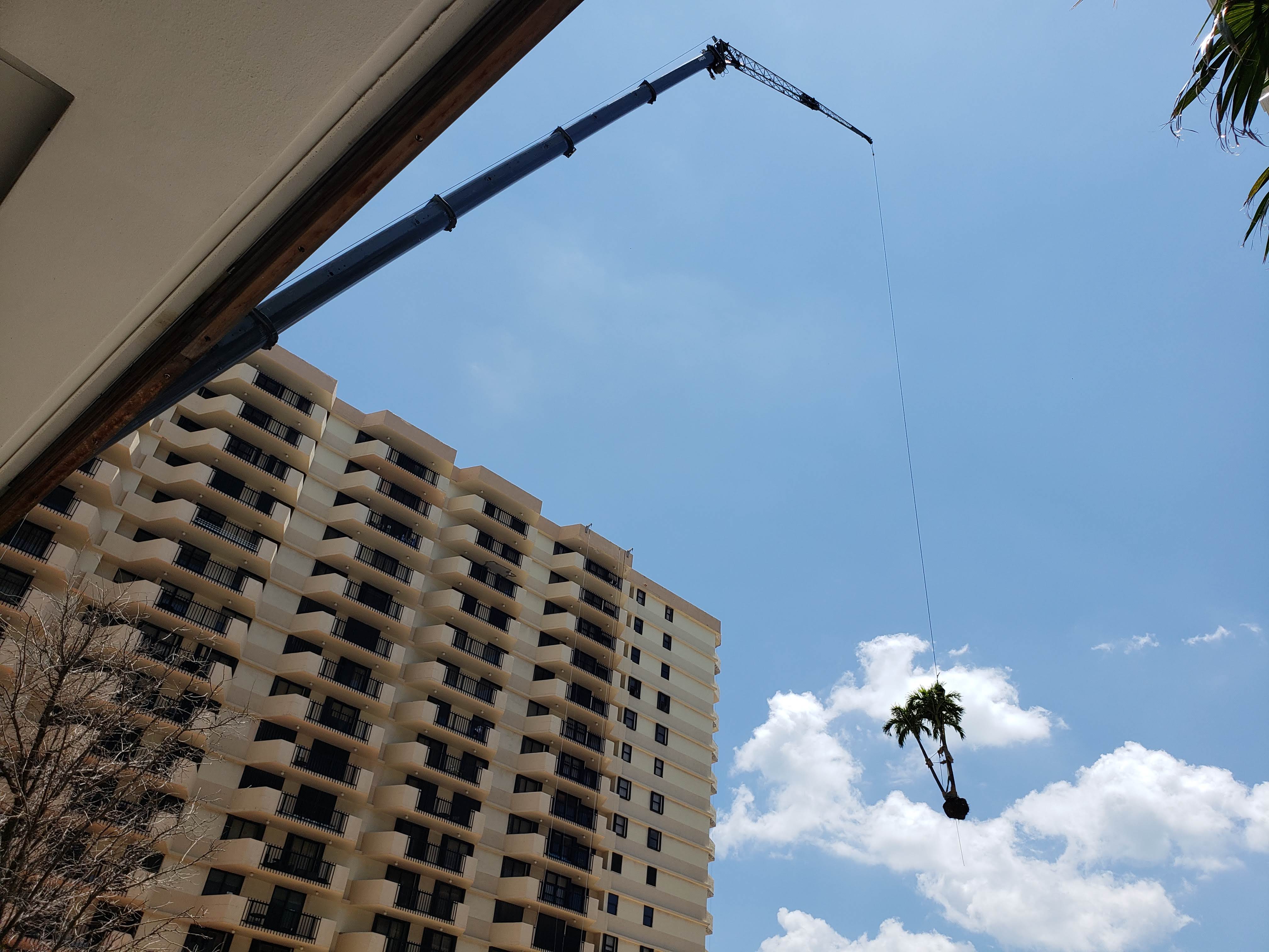 Tree & Landscaping Lifts | Williams International