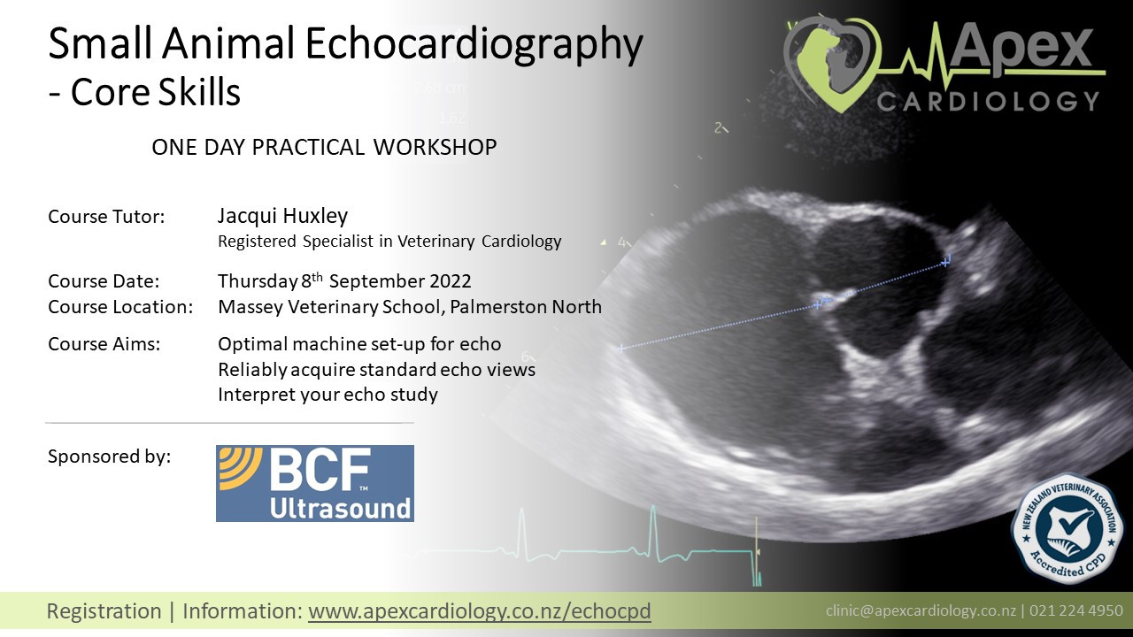 Practical Echo Workshop | apexcardiology