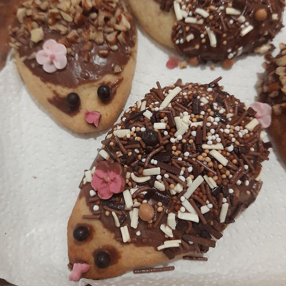 Iris (11) from Hertford Bakes Hedgehog Cakes to Save the hedgehogs and ...