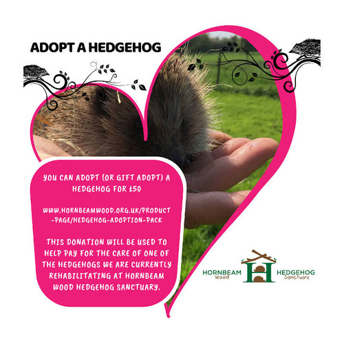 Hedgehog Adoption Gift Pack | Hedgehog Sanctuary