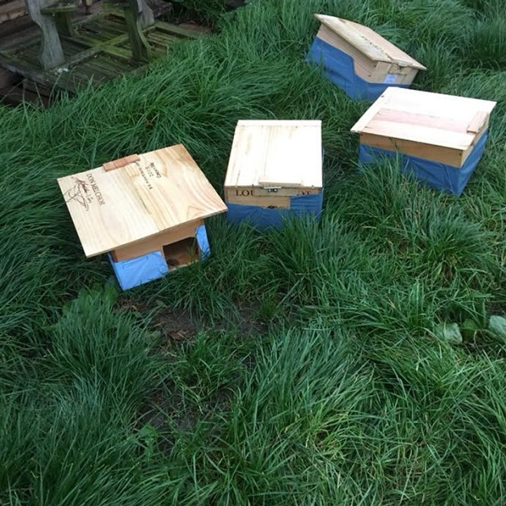 How Can I Make My Own Hedgehog House?