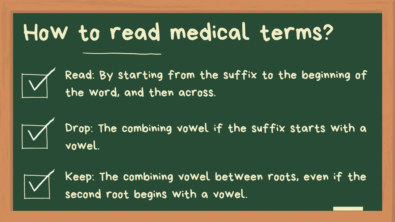 Medical Terminology Greek And Latin Origins And Word Formation Guidelines Medical Terminology Greek And Latin Origins And Word Formation Guidelines