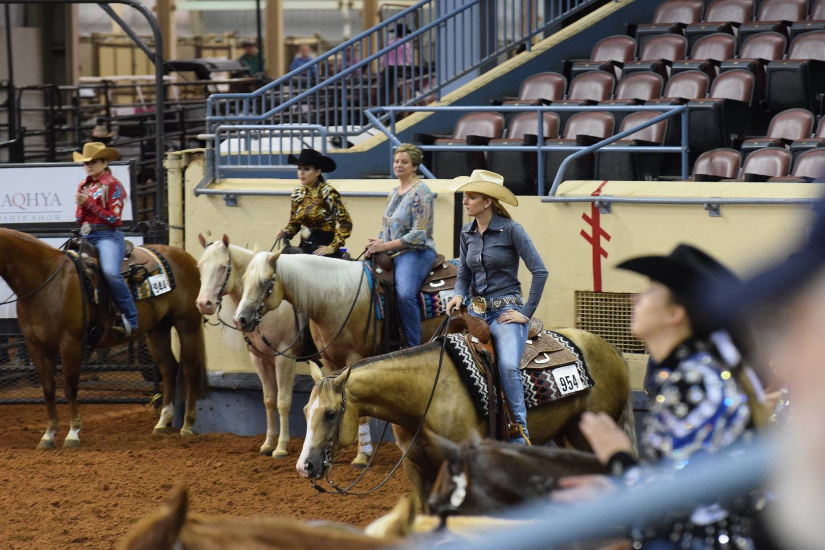Gallery of Champions | Drake Johnson Horses