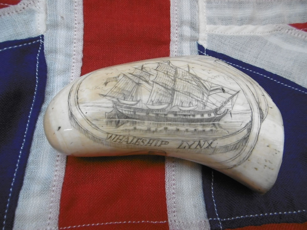 No.472 -'Whaleship LYNX' scrimshaw tooth | Bonds Nautical