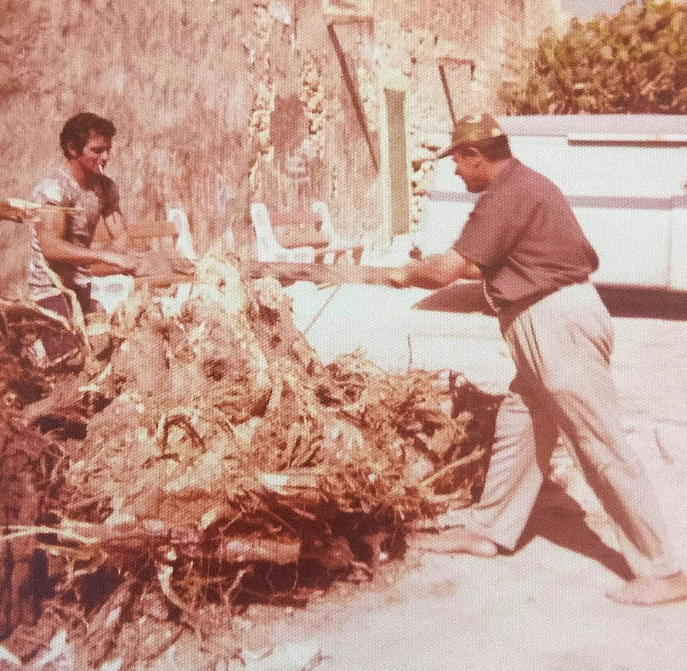 Maxokk and the story of an extraordinary woman behind it (Part 1).