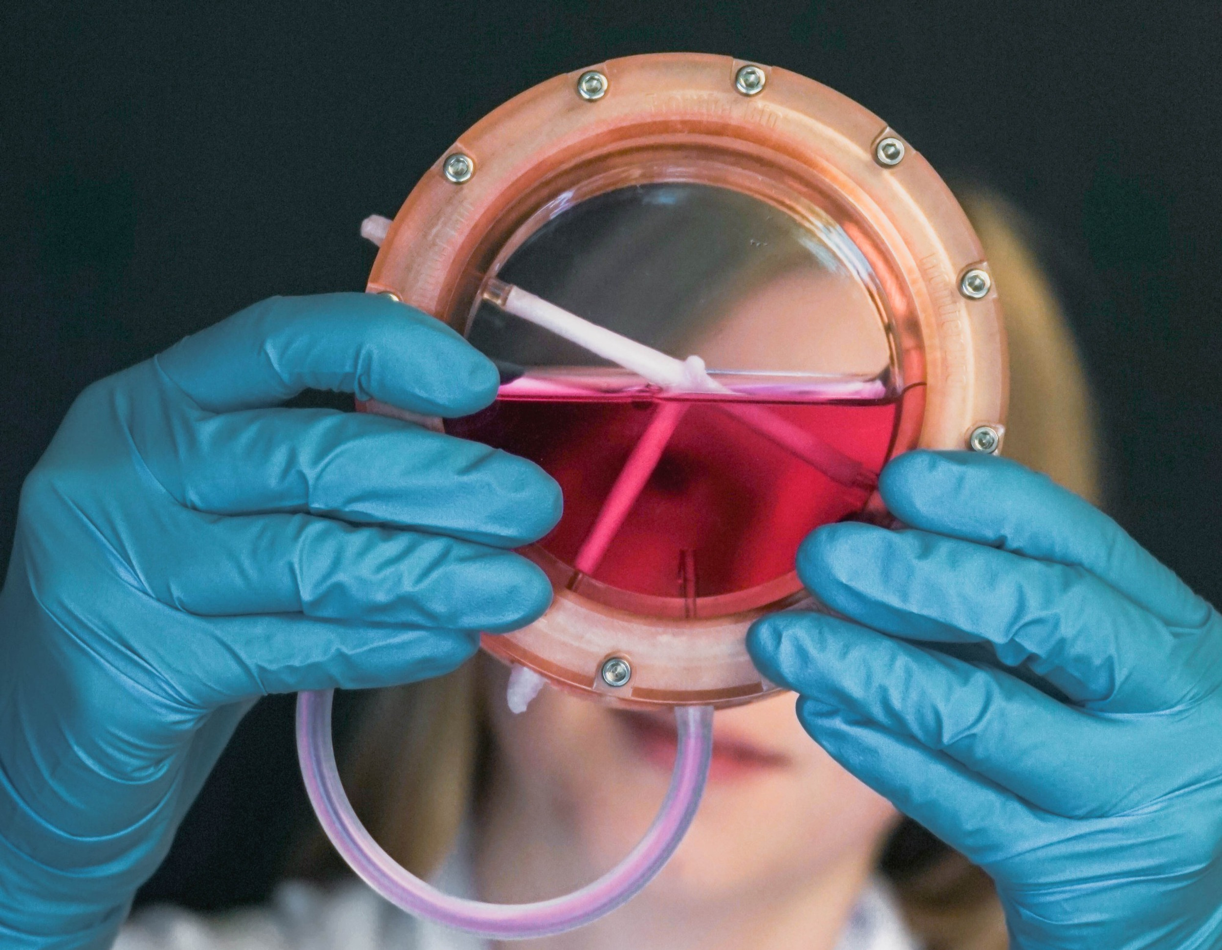 Engineered Blood Vessels | Frontier Bio