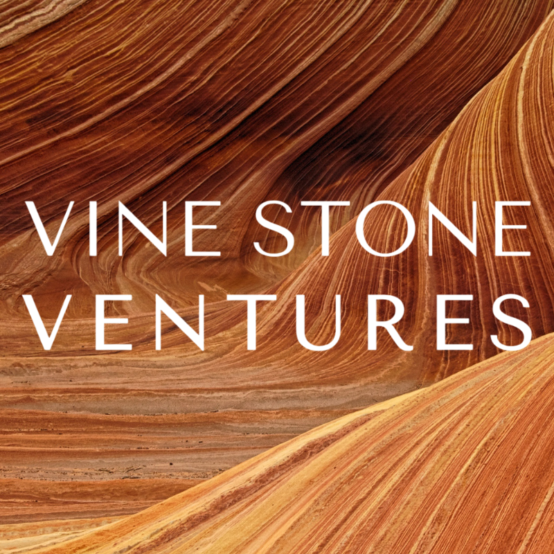 About | Vine Stone Ventures