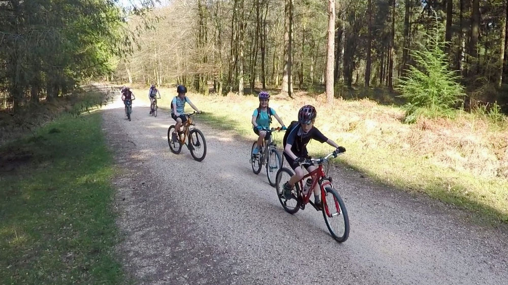 A New Forest Family Cycle Adventure