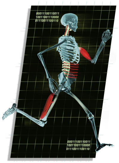 SMARTERehab - Niveau 1. Analyse du mouvement et raisonnement clinique ...