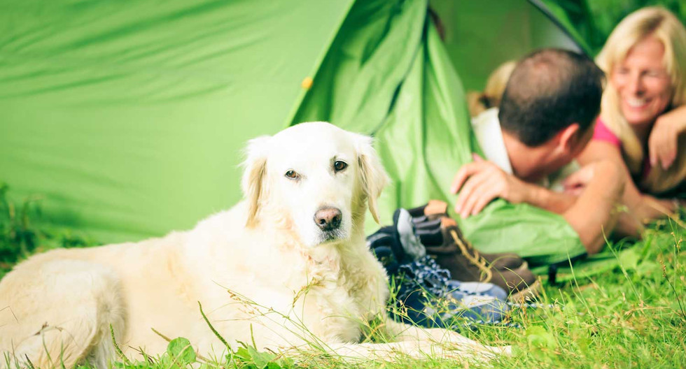 CAMPING | Scales Lake Park