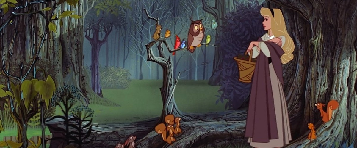 Sleeping Beauty: A gorgeous Disney fairy tale.