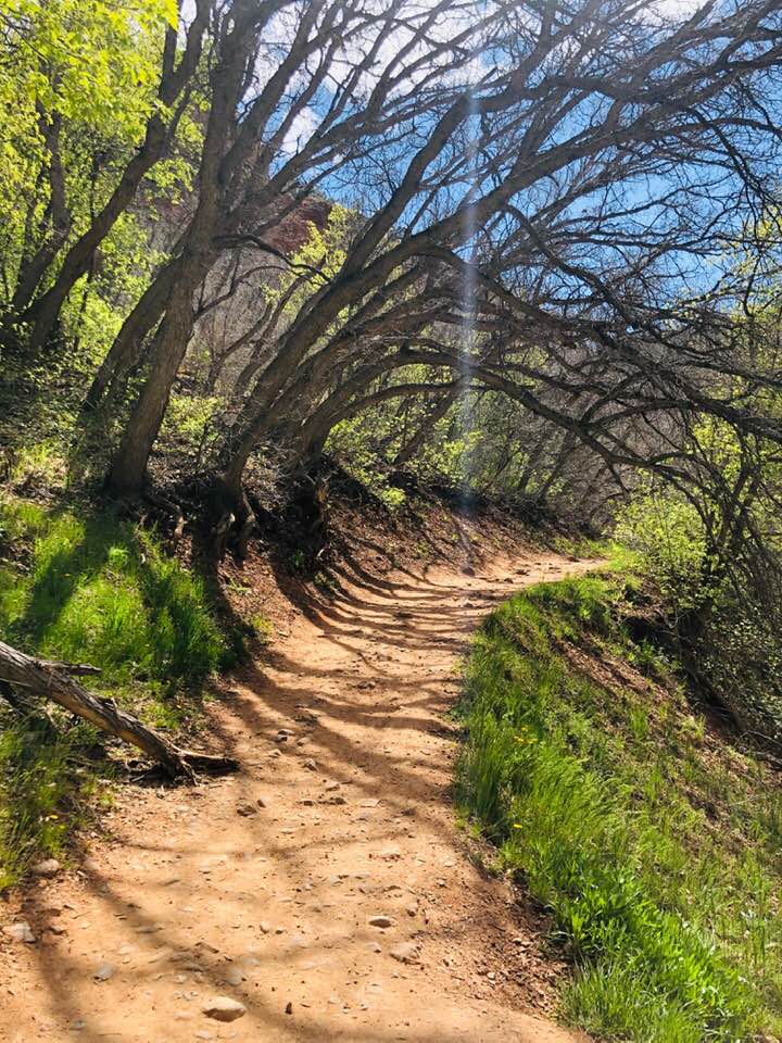 SADLY, YOU CAN'T OUTRUN YOUR PAST