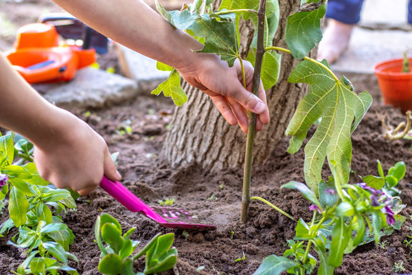 Extra-Murals Activities | BrightBridge Academy