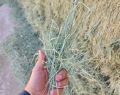 PRODUCTS | Jerry Preece Jr. Farms