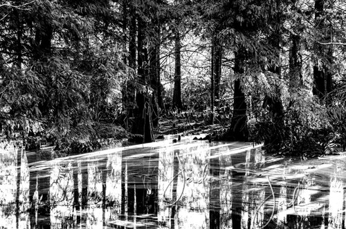 River of glass, "Glades on glass collection" | Jade Cave Art