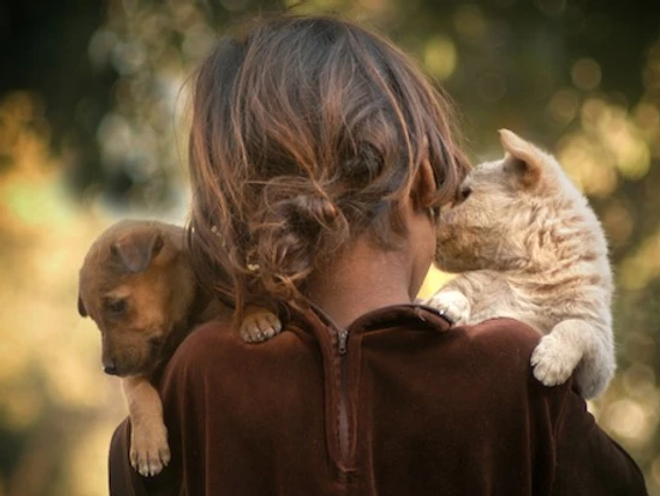 Love – Always the Answer