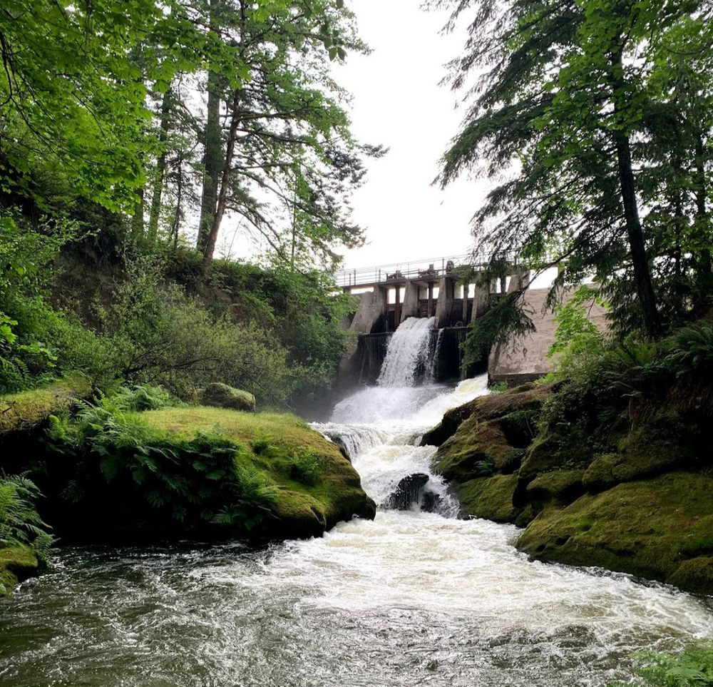 Lacamas Regional Park