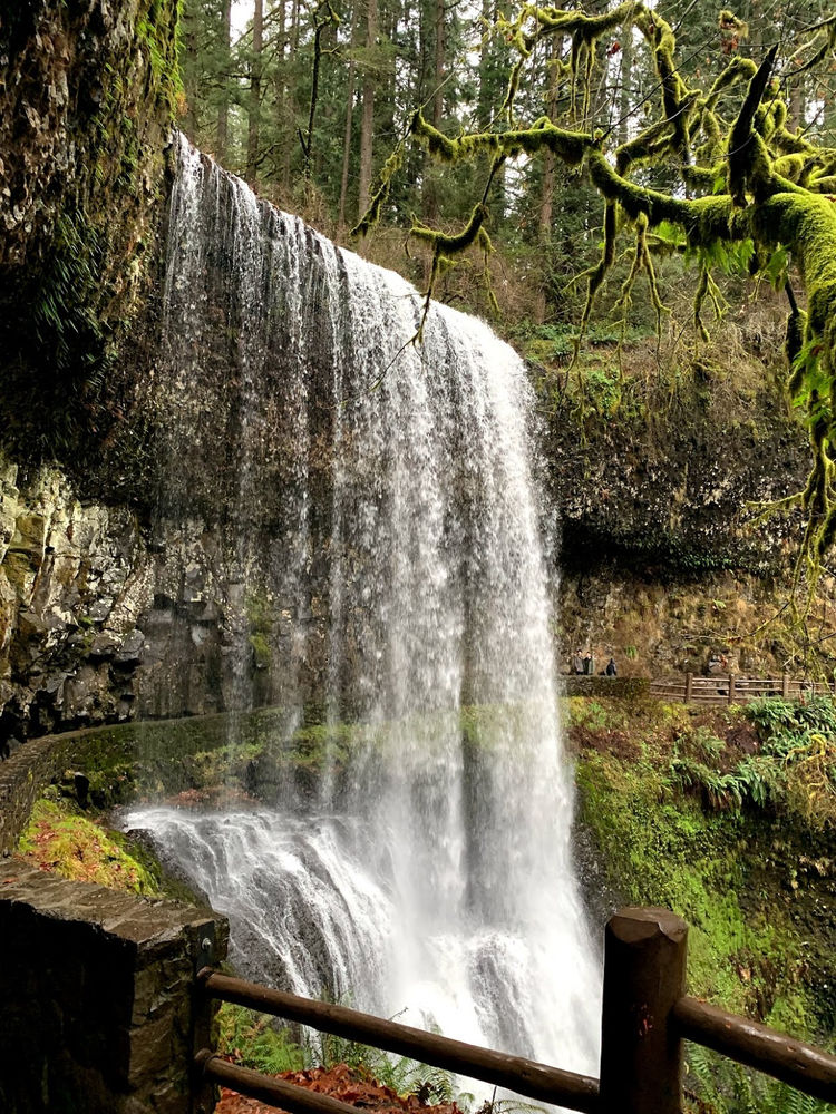 Silver Falls State Park