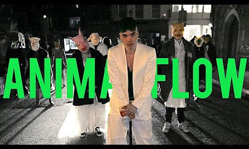 Animal Flow - REN | Dancing Lights