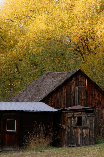 Fall Color and Old Buildings | Lori Fink Photos