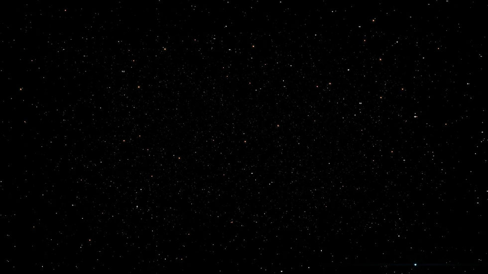 Tv Project | Venus Prime Series