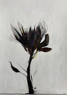 Australian Artist | Nic Plowman