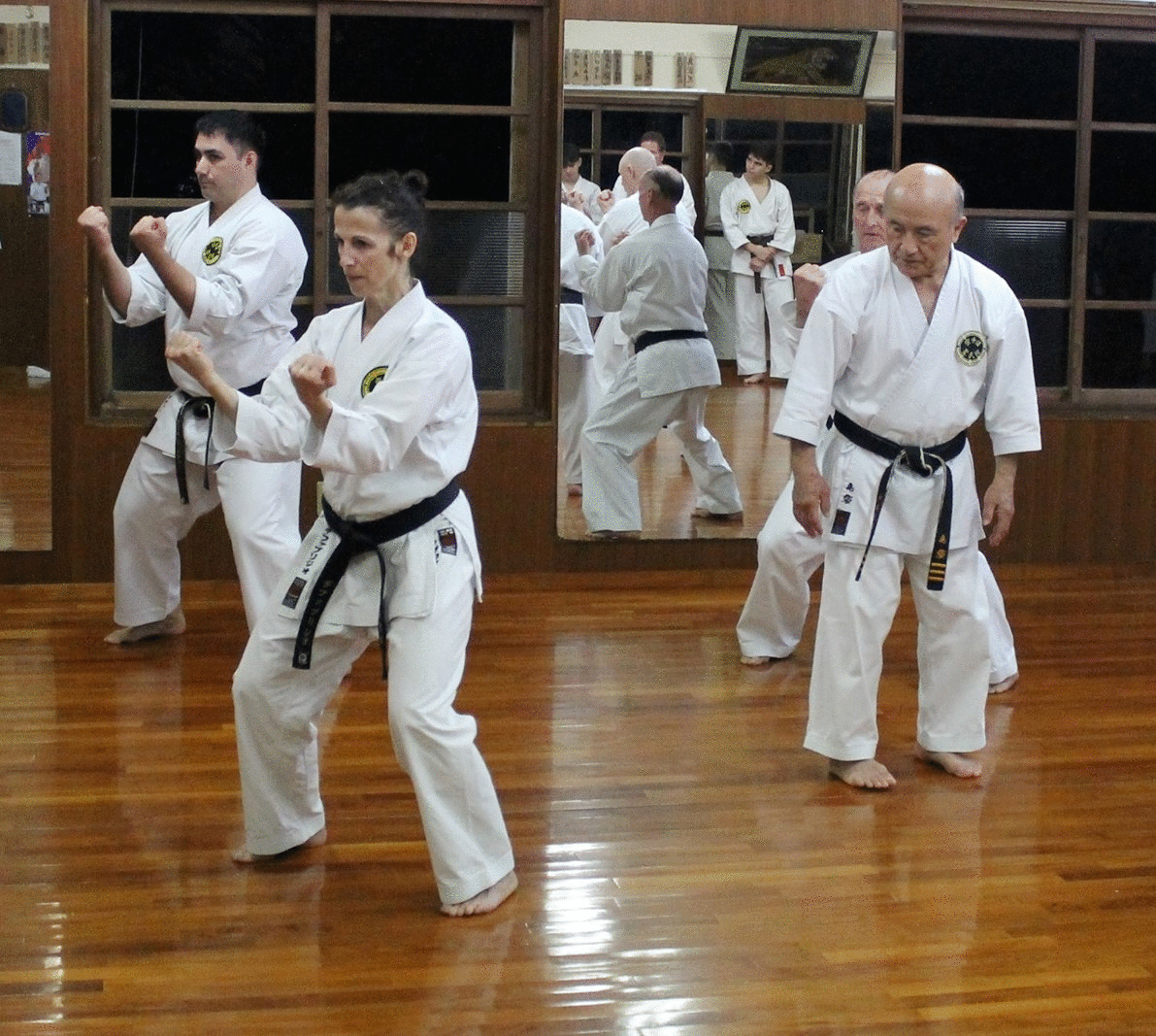 Links | Seibukan Karate Dojo