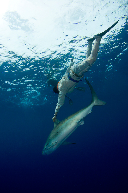 Dr. Samuel H. Gruber "Doc"