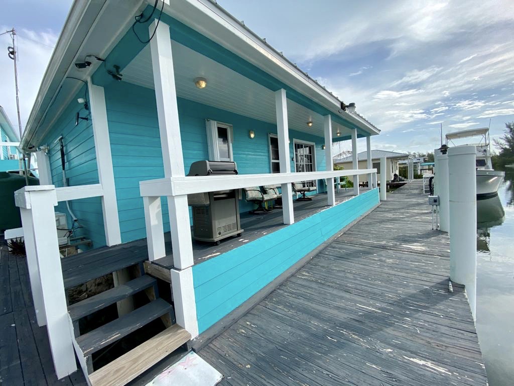 Film Crews | Bimini Shark Lab