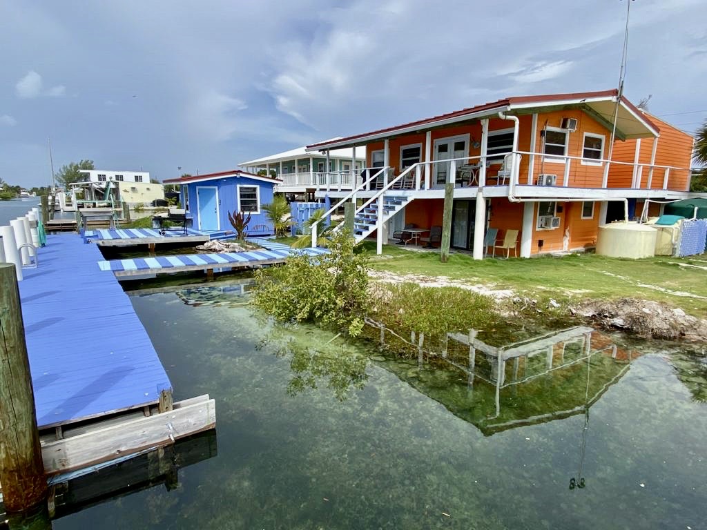 Film Crews | Bimini Shark Lab