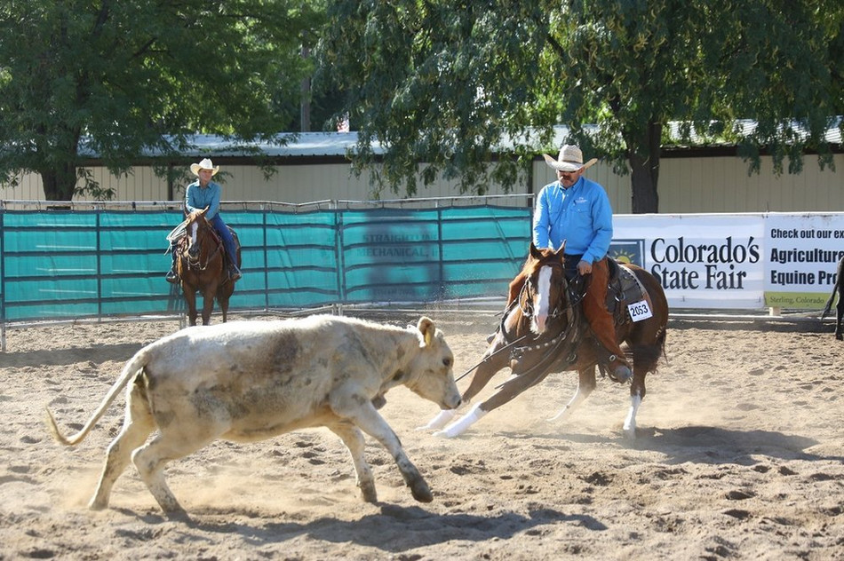 EXXPEDIA | Tee Cross Ranch