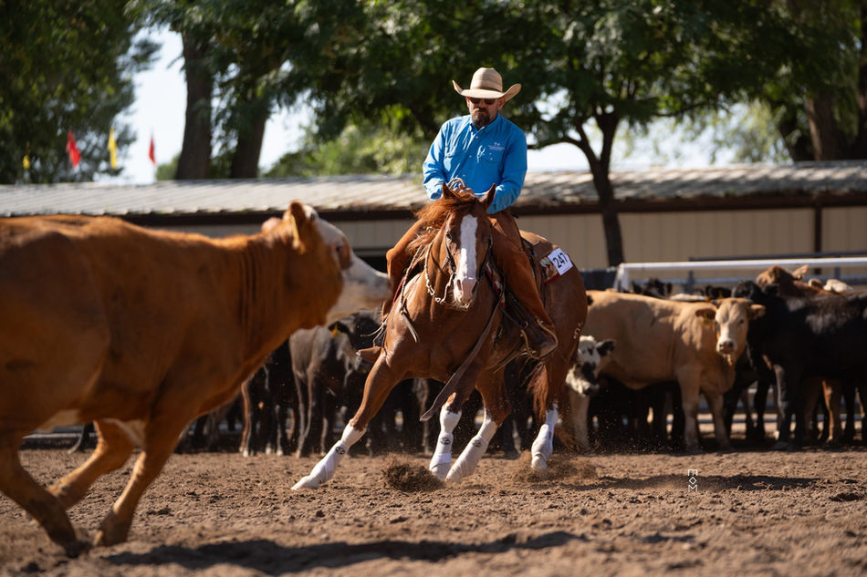 EXXPEDIA | Tee Cross Ranch