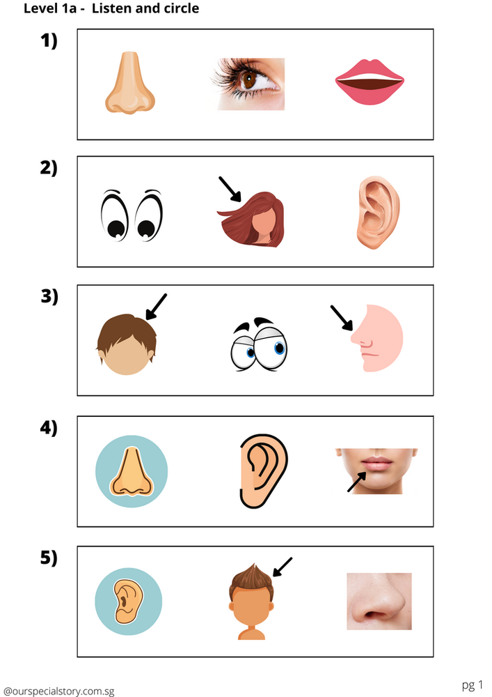 Body Parts Sight Words body-parts-sight-words