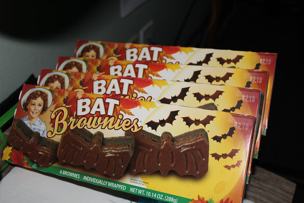 Going Batty for Bat Day