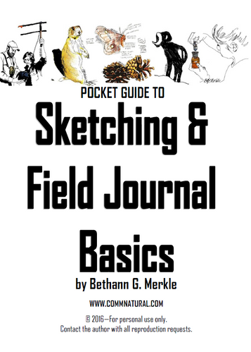 Pocket Guide to Sketching & Field Journal Basics (printable) | BGMerkle