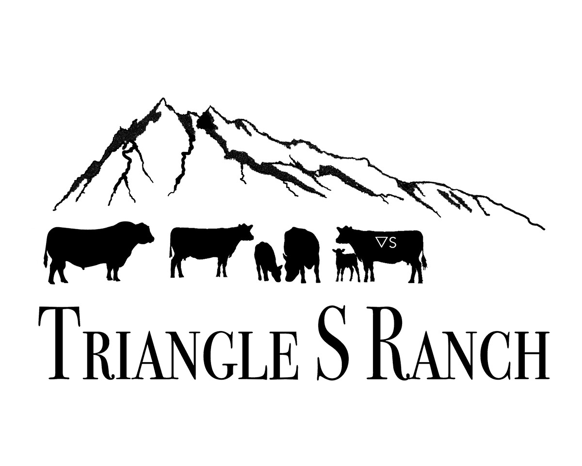 Fortune Triangle S Ranch - Interior, SD